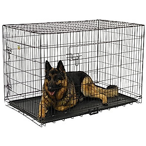 Go Pet Club 42-Inch Two Door Folding Metal Cage with Divider