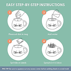 The Cat Ladies Organic Cat Grass for Indoor Cats - Growing Kit with Organic Seed Mix, Soil and White Cat Planter. Natural Hairball Control and Digestion Remedy, Cat Gifts