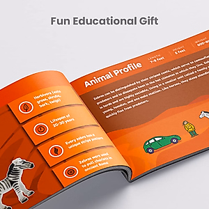 Boley Jungle Safari Animal Set - 12-Piece Detailed Wildlife Figures for Educational Play - Durable Kids Toys Including Elephants, Giraffe, Lion, Tiger, Zebra - Ideal for Party Favors & Classroom