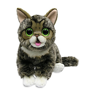 Cuddle Barn - Lil BUB | Soft Adorable Kitten Stuffed Animal Plush Toy, 10 inches