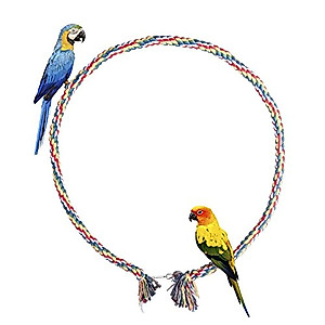 Litewood Bird Cotton Rope Perch Swing Bird Perch Chew Toy for Parrot African Greys Macaw Eclectus Cockatoo Alexandrine Amazon Cage Swing Stand with Bells (M 59 INCH)