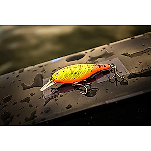 Berkley Flicker Shad Shallow Fishing Lure, Firetail Hot Perch, 2/7 oz, 2 3/4in | 7cm Crankbaits, Size, Profile and Dive Depth Imitates Real Shad, Equipped with Fusion19 Hook