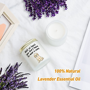 Lacrima Funny Get Well Soon Gifts for Women Men, Get Well Gifts for Women After Surgery, After Surgery Recovery Gifts, Cancer Gifts, Feel Better Gifts for Family Friend, Lavender Candle