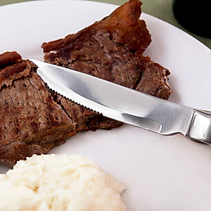 Knork Flatware Steak Knife 4 Pc Set