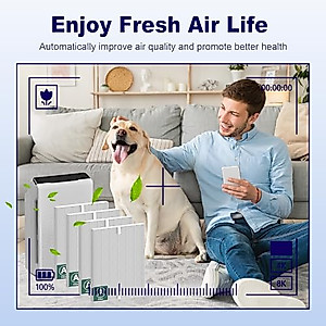 3 Pack 115115 HEPA Replacement Filter A Size 21 Compatible with Winix PlasmaWave C535 5300 5300-2 5500 5500-2 6300 6300-2 P300 AM90 9000 5000 5000B C909 9800 Air Purifier by PETOX