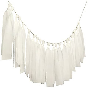 Mybbshower White Chiffon Tassel Garland for Wedding Bridal Shower Birthday Party Backdrop Hanging Decoration Fringe Backdrop Banner