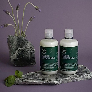 Tea Tree Lavender Mint Moisturizing Conditioner, Hydrates + Soothes, For Coarse + Dry Hair, 2.5 fl. oz.