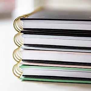 Letts Celebrate Weekly/Monthly Planner, 12 Months, January to December, 2024, Gold Twin-Wire Binding, A5 Size, 8.25" x 5.875", Multilingual, Mint (C082187-24)