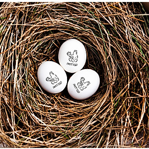 Egg Stamps For Fresh Eggs, Flat Rubber Stamp for Eggs, Chicken EGG Stamp for fresh eggs, Egg Stamps, Custom Egg Stamp, Egg Labels, Mini Egg Stamp, Farm Stamp, Eggs Stamp
