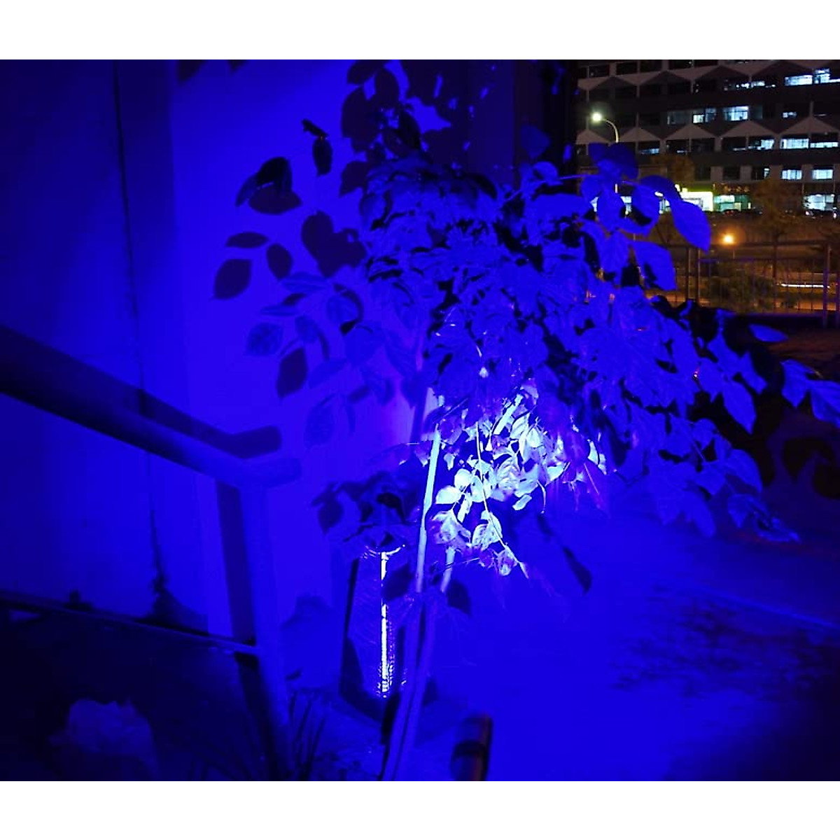 wondsunson 2 x Blue Light Penlight Pen Type Flashlight One Mode Blue Light LED Torch for Camping Hiking Fishing Hunting Animal Protecting Night Vision