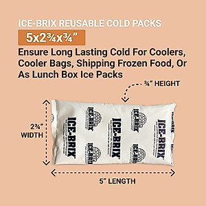 AVIDITI Ice-Brix Ice Packs: Food-Safe Reusable Refrigerant Gel Ice Packs for Instant Reliable Cold in Coolers, Shipping, or Lunch Box - 5” x 2 ¾”, (96 Pack)