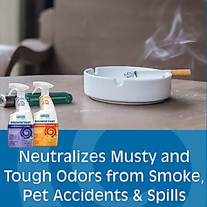 Gonzo Disinfectant Spray & Multipurpose Cleaner - 24 Ounce (2 Pack) Citrus - Odor Eliminator, Disinfectant, Flood Fire Water Damage Restoration