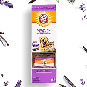 Arm & Hammer for Pets Air Care for Pet Odor Elimination | Arm & Hammer Air Care Pet Deodorizer with Baking Soda for Pet Households, Lavender Vanilla Reed Diffuser