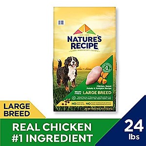 Nature’s Recipe Large Breed Grain Free Chicken, Sweet Potato & Pumpkin Recipe, Dry Dog Food, 24 Pounds (Packaging May Vary)
