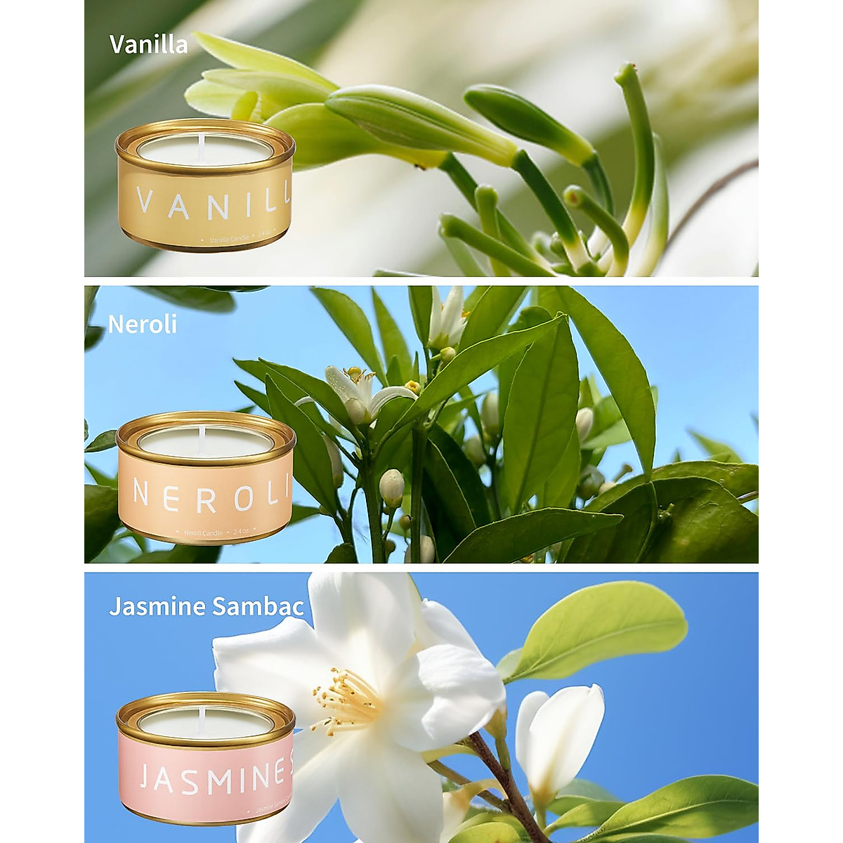 VTS Candles for Home Scented, 6 Pack Aromatherapy Candles (Lavender, Vanilla, English Pear & Freesia, Neroil, Clary Sage, Jasmine Sambac), Candles Gift Set for Stocking Stuffers, Christmas, Birthday