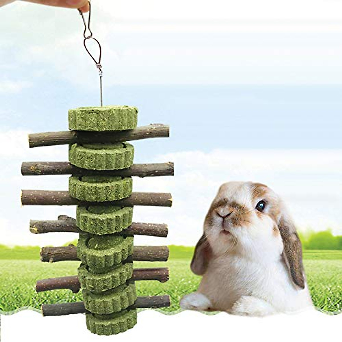 Rabbit Hamster Chew,lEIsr00y Rabbit Bunny Hamster Teeth Health Apple Wood Stick Grass Hay Cake Heart Chew Toy - Wood Color