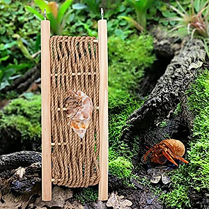 Hermit Crabs Climbing Ladder Bridge, Rope and Wood Reptile Climbing Toy, Small Animals Cage Accessory, Suitable for Lizard Chameleon Hermit Crab Hamster Chinchilla Guinea Pig