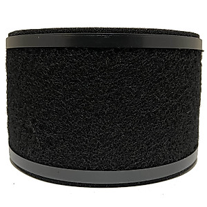 Nispira Replacement Filter L True HEPA + Activated Carbon Pre Filter Compatible with GermGuardian Air Purifier AC4200W FLT4200, 2 Packs