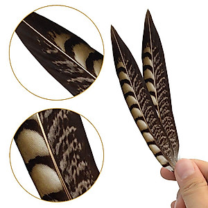 obmwang 21 Pcs 20-25cm Natural Pheasant Feathers for DIY Craft Wedding Home Party Decorations, 3 Styles