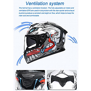 MotuoMr Unisex-Adult Full Face Motorcycle Helmet DOT Approved Motorbike Moped Street Bike Racing Crash Helmet with Graphic (Color Mirror, Large)