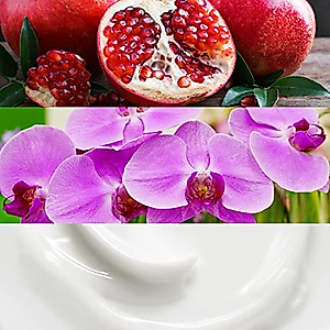 Calvin Klein euphoria Eau de Parfum, 3.3 Fl. Oz.