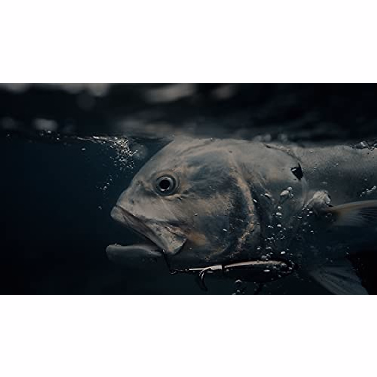 Berkley Choppo Topwater Fishing Lure, Red Head, 1 oz, 120mm Topwater, Enhanced Propeller Surface Area for Maximum Disturbance, Equipped with Sharp Fusion19 Hook