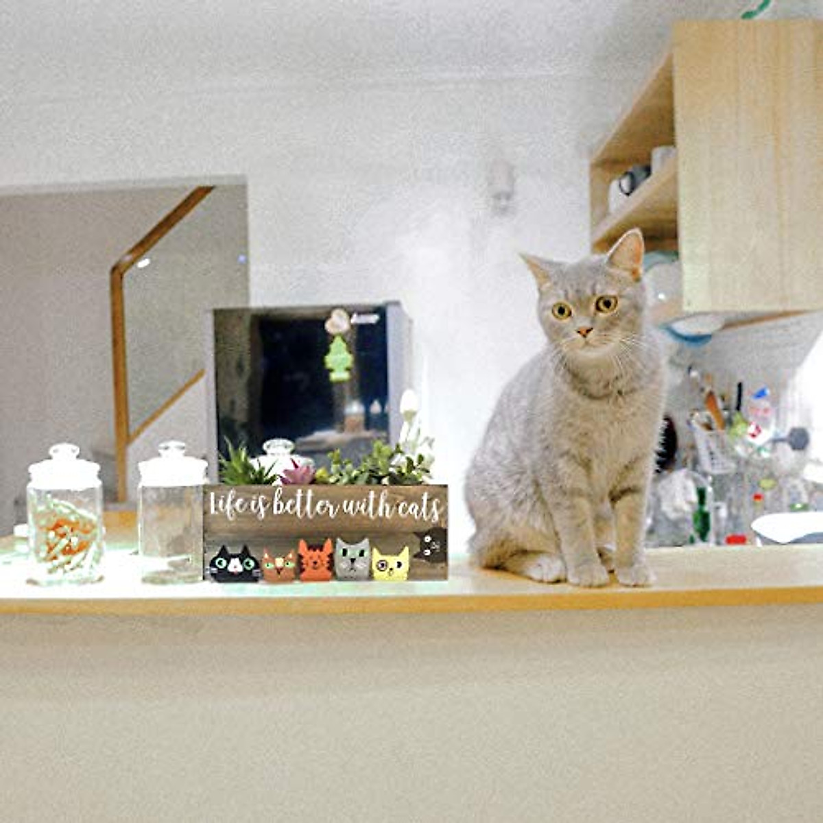 Cat Planter, Life is Better With Cats Wood Planter Box, Cat Mom, Catnip, Cat Lover Gift (Natural Brown Wood)