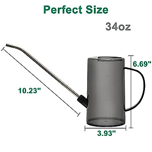 Small Watering Can for Indoor Plants, Long Spout Watering Can Indoor with Sprinkler Head, Indoor Watering Can for House Plants, Flowers, Succulents,Bonsai 34oz