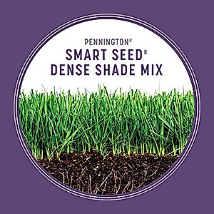 Pennington Smart Seed Dense Shade Grass Mix 7 lb
