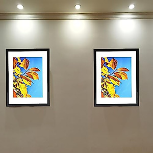 Aynoo 9x12 Picture Frame Wooden Picture Frame Display Pictures 6x8 Picture Frame with Mat or 9x12Without Mat, HD Minimalism Black Wood Picture Collage Photo Frames for Wall Mounting 9x12 (1 Pack)