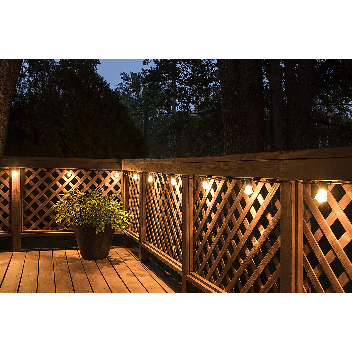 Enbrighten LED Bistro Outdoor String Lights, 48ft, 24 Shatter Resistant Lifetime Bulbs, 2200K Warm White, Weather Resistant, Indoor/Outdoor, Commercial Grade, Perfect for Backyard, Porch, Patio, 38357