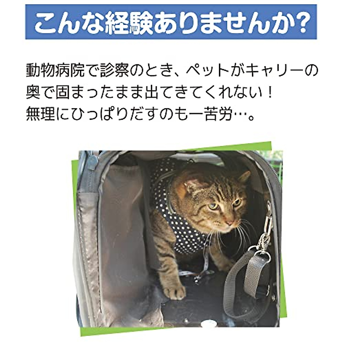 Van Ness Calm Carrier (for Cats Up to 20 Lbs.)