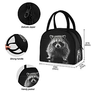 YiGee Animal Raccoon Lunch Bag Tote Bag, Insulated Organizer Zippered Lunch Box Lunchbox Lunch Container Handbag for Women Men Home Office Picnic Beach Use