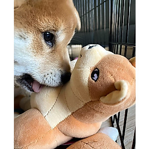Youtooz Swole Doge Plushie, 12" Buff Doge Plush, Cute Plush Toys Meme Collection Based on Famous Internet Memes