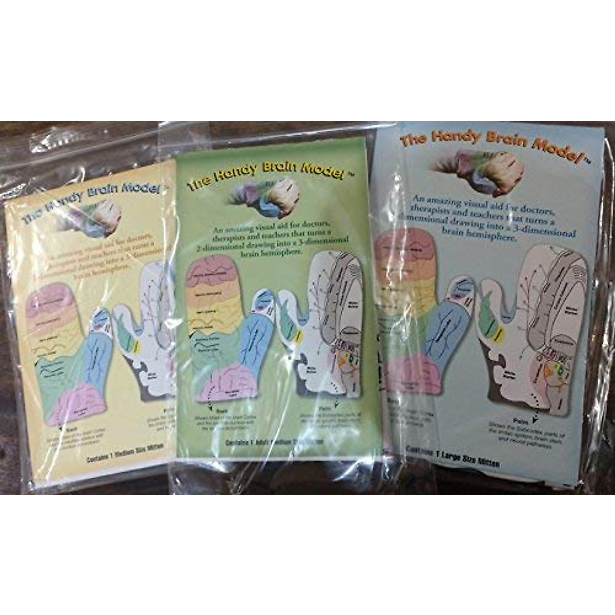 Handy Brain Model B-2 (large)