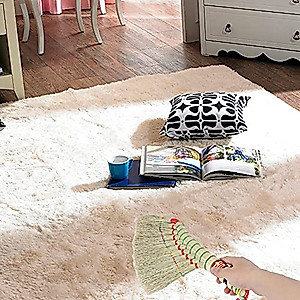 DOITOOL Dust Brush Small Broom Natural Home Cleaning Broom Home Cleaning Tool Wood Handle Retro Nature No Static Electricity Sweeping Broom Sofa Car Corner and More