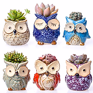 Claywa Ceramic Owl Succulent Pots Cute Animal Plant Planters 2.75" to 3.35" with Drainage Pack of 6 Plants Not Included