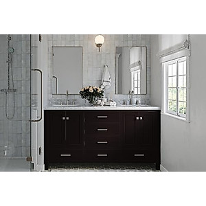ARIEL Bath Vanity Base Cabinet 66" Inch in Espresso, Dual Sink Configuration, 4 Soft Closing Doors, 6 Full Extension Dovetail Drawers, Brushed Nickel