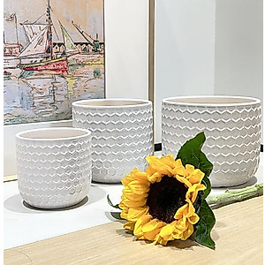 Docrin Ceramic Plant Pots Indoor: 6.5+5.3+4 Inch Planters with Drainage Holes for Home/Office - Set of 3 / White Honeycomb