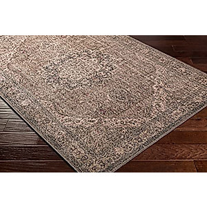 Greenpoint Machine Washable Area Rug - Oriental Persian Traditional Medallion - Bohemian Vintage Distressed Carpet - Brown, Beige - 6'7"x9'