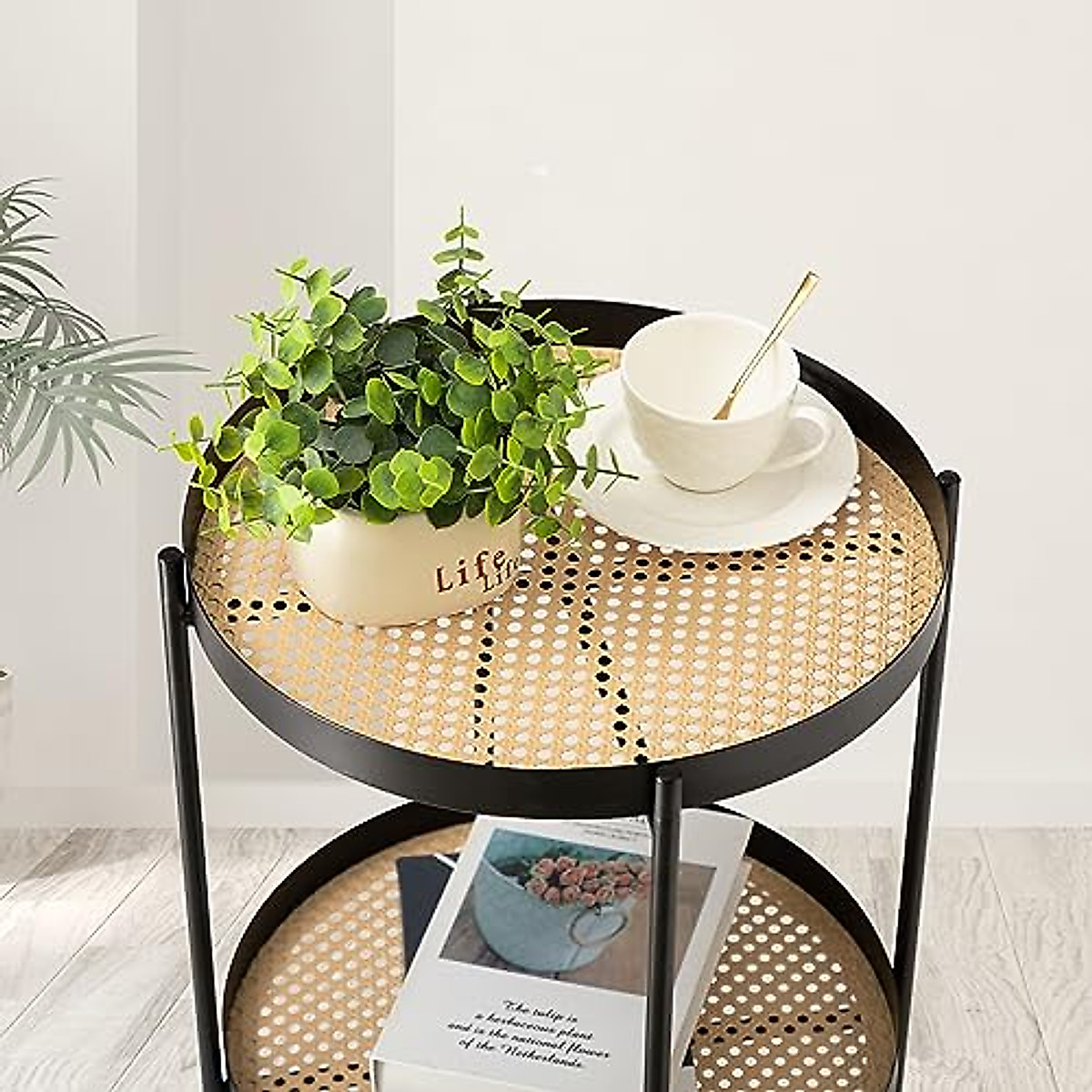 danpinera Black Side Table, 2 Tier Removable Tray Imitation Rattan Table for Living Room, Small Round Table for Bedroom, Small Metal Table for Nightstand 20.47 Inch x 16.54 Inch