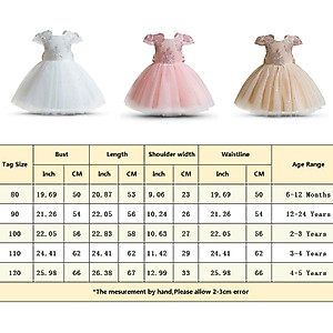 NNJXD Baby Girl Lace Princess Dress Pageant Party Bowknot Toddler Girls Ball Gown 2007 Yellow Size(110) 3-4 Years