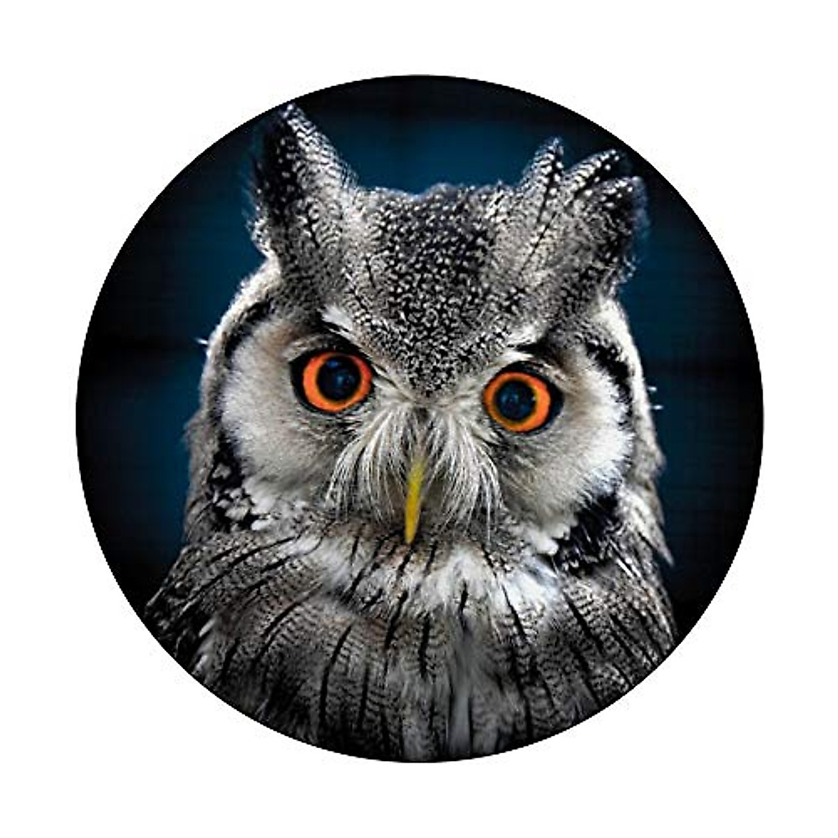 Owl Trendy Cute Animal Face Night Birds lovers PopSockets PopGrip: Swappable Grip for Phones & Tablets