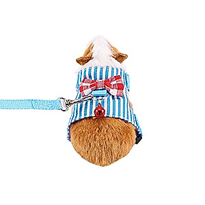 Filhome Small Pet Harness Vest and Leash Set with Bowknot and Bell Decor Chest Strap Harness Adjustable Soft Breathable for Outdoor Walking Guinea Pigs, Ferret, Chinchilla(Blue)