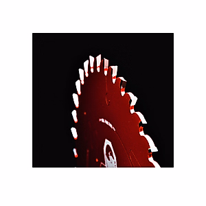 Freud P410: 10" Next Generation Premier Fusion General Purpose Blade