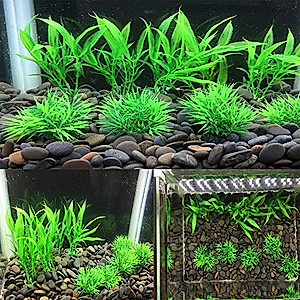 Smoothedo-Pets Aquarium Plants Fish Tank Decorations Small Size/10pcs Set Plastic Artificial Plant Goldfish Waterscape Fish Hides for Small Fish Tank/Bowl (10pcs-B-Set)