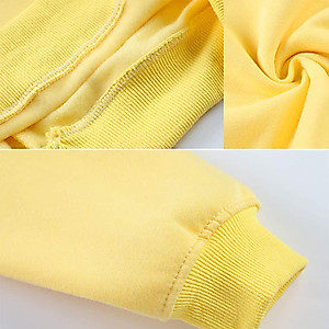 KEEVICI Popular Cartoon Cute Avocado Print O-neck Cotton Casual Pollover Sweatshirt (Yellow,L)