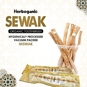 HERBOGANIC Natural Miswak, All Natural Traditional Tooth Brush for Oral Health, Hygiene, Fresh Breath, Light Weight, Vacuum Sealed (Pack of 12)