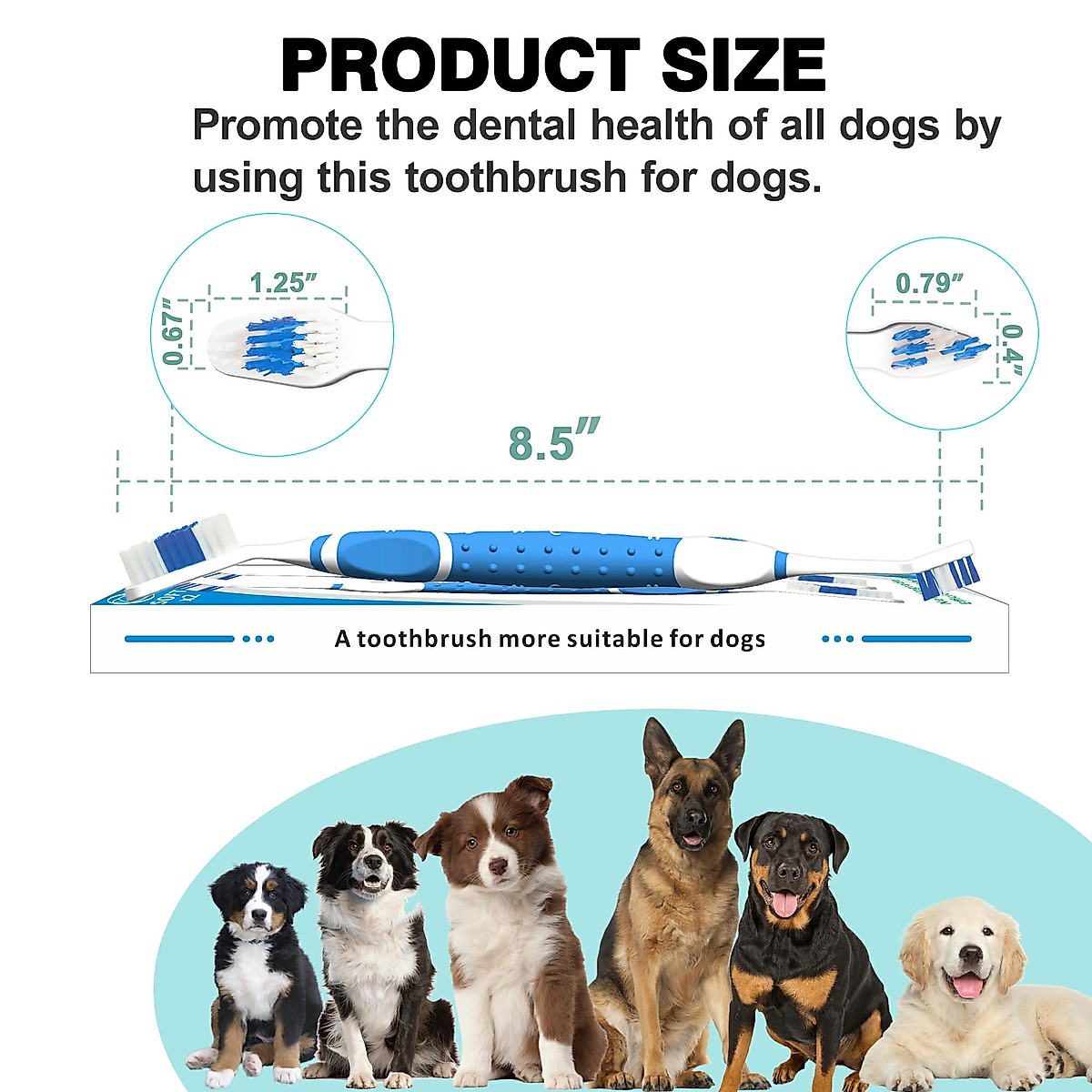 Leoezx™ Double Headed Pet Dog Toothbrush (Blue*2)，Original Design 12° Double-Headed Brush Head, Pet Toothbrush for Small and Large Dogs & Cats, Essential for Cleaning Teeth