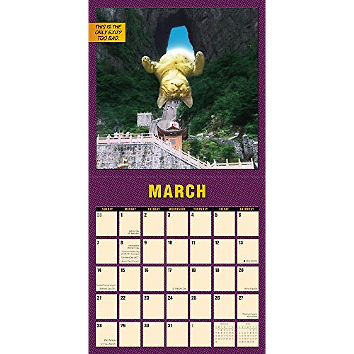 2021 Catzilla 16-Month Wall Calendar